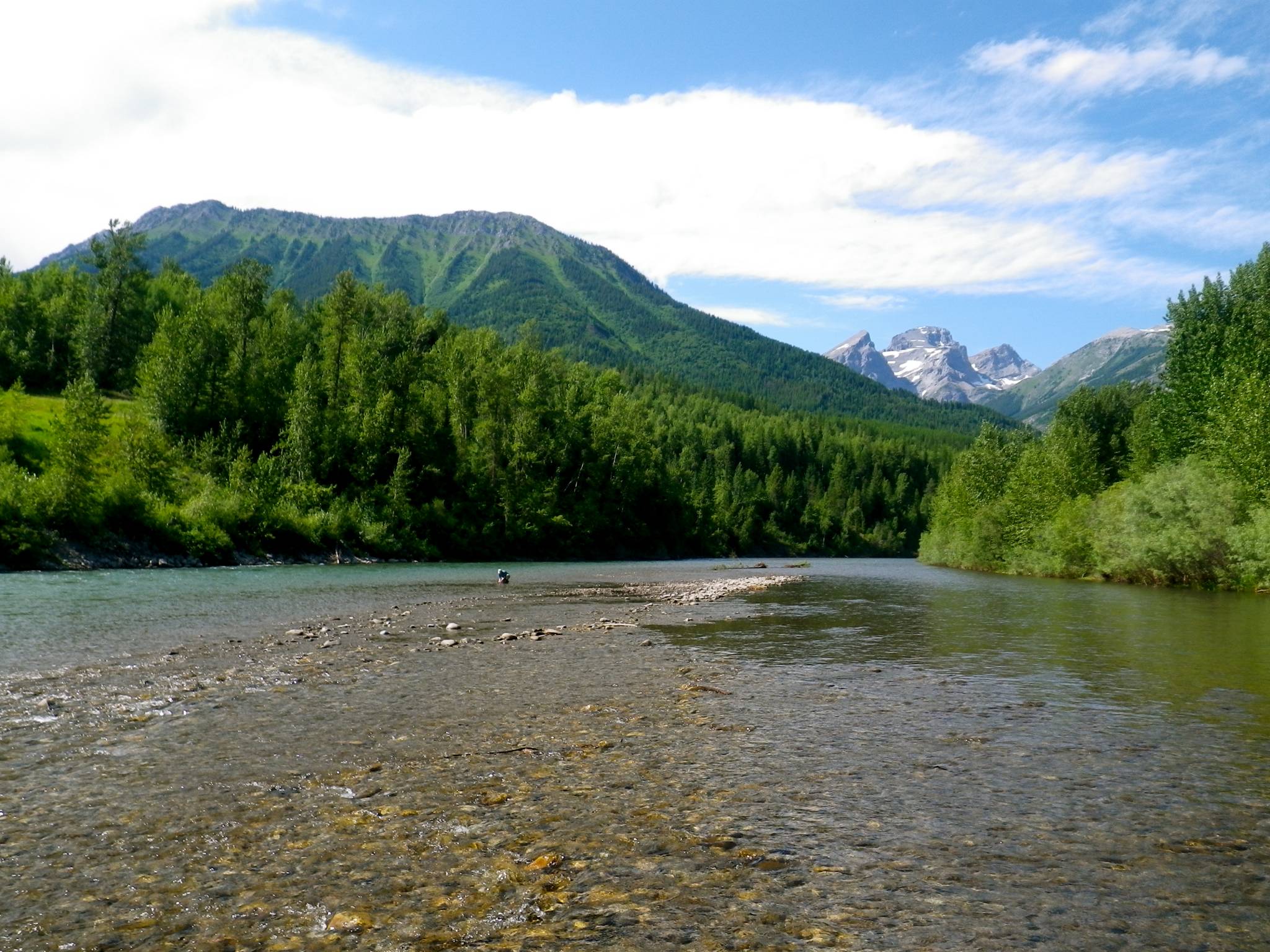 Elk Valley Environmental Monitoring Committee Open House – Wildsight