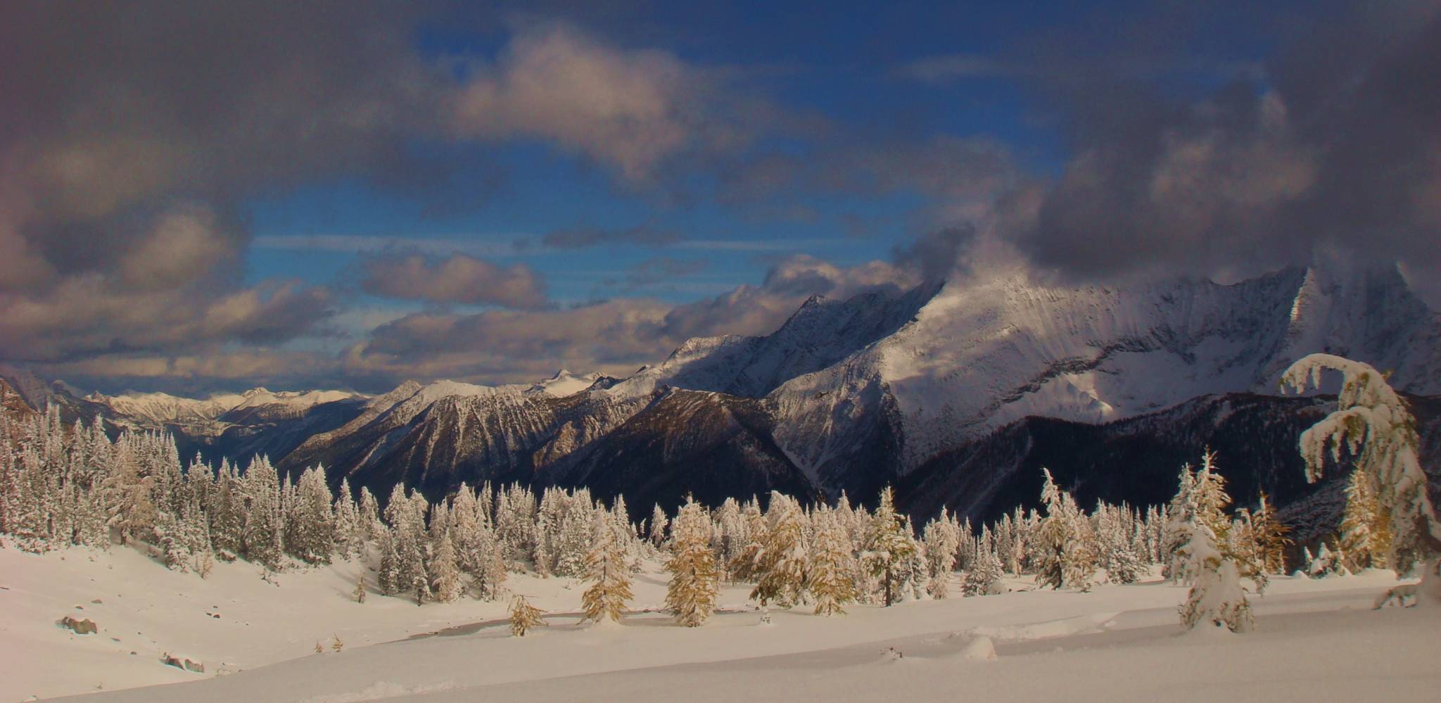 Jumbo Wild – Wildsight