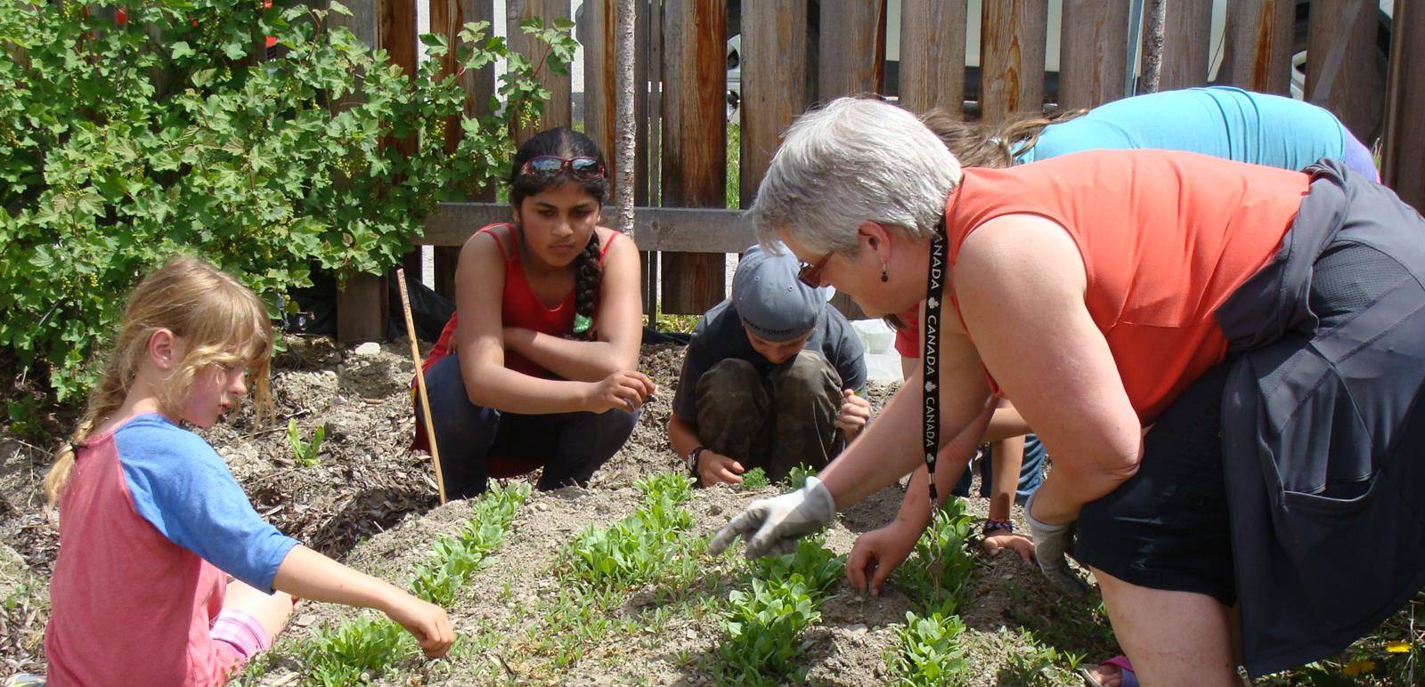 Education Programs – Wildsight