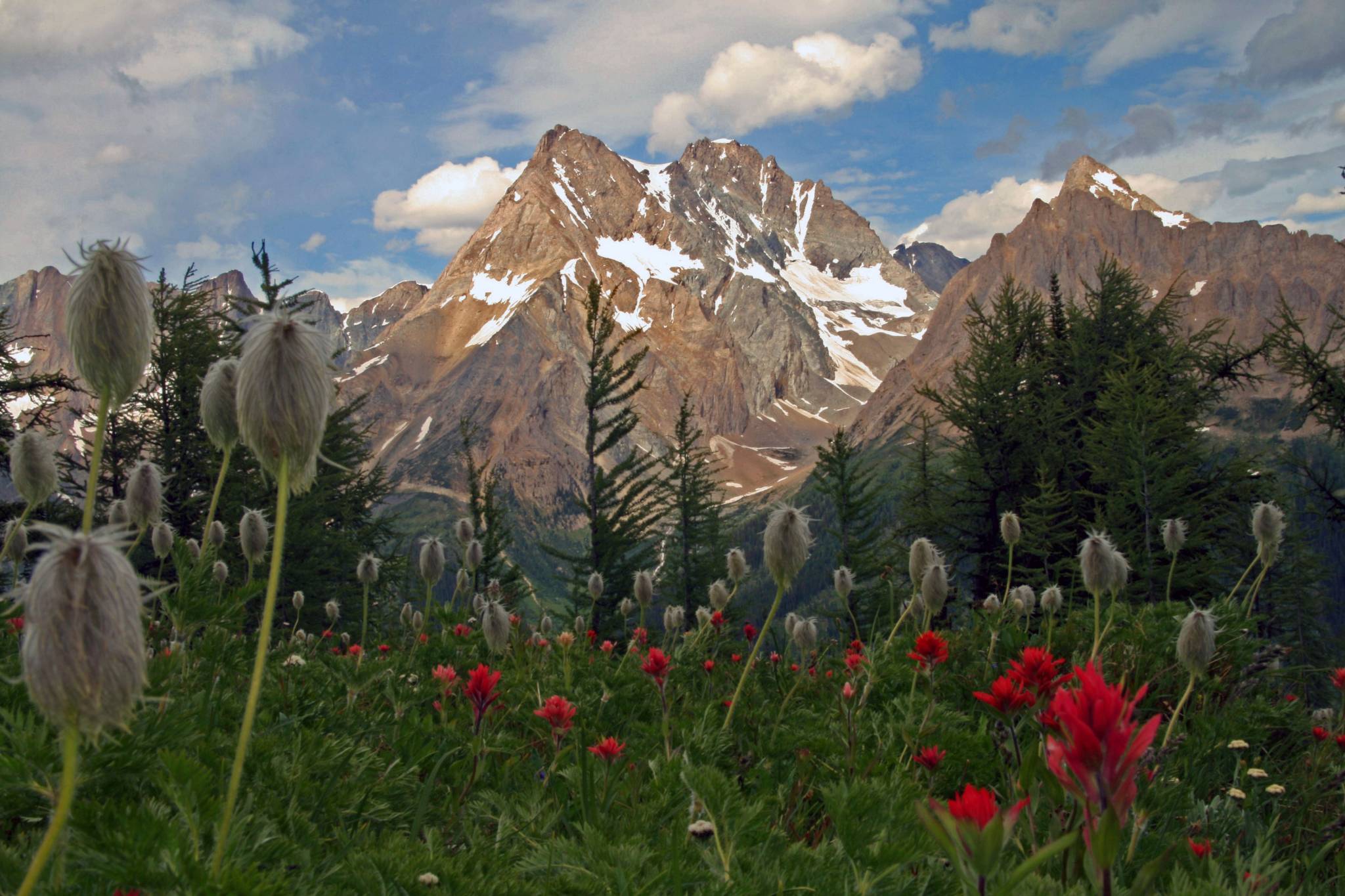 Annual Jumbo Wild Hike – Wildsight