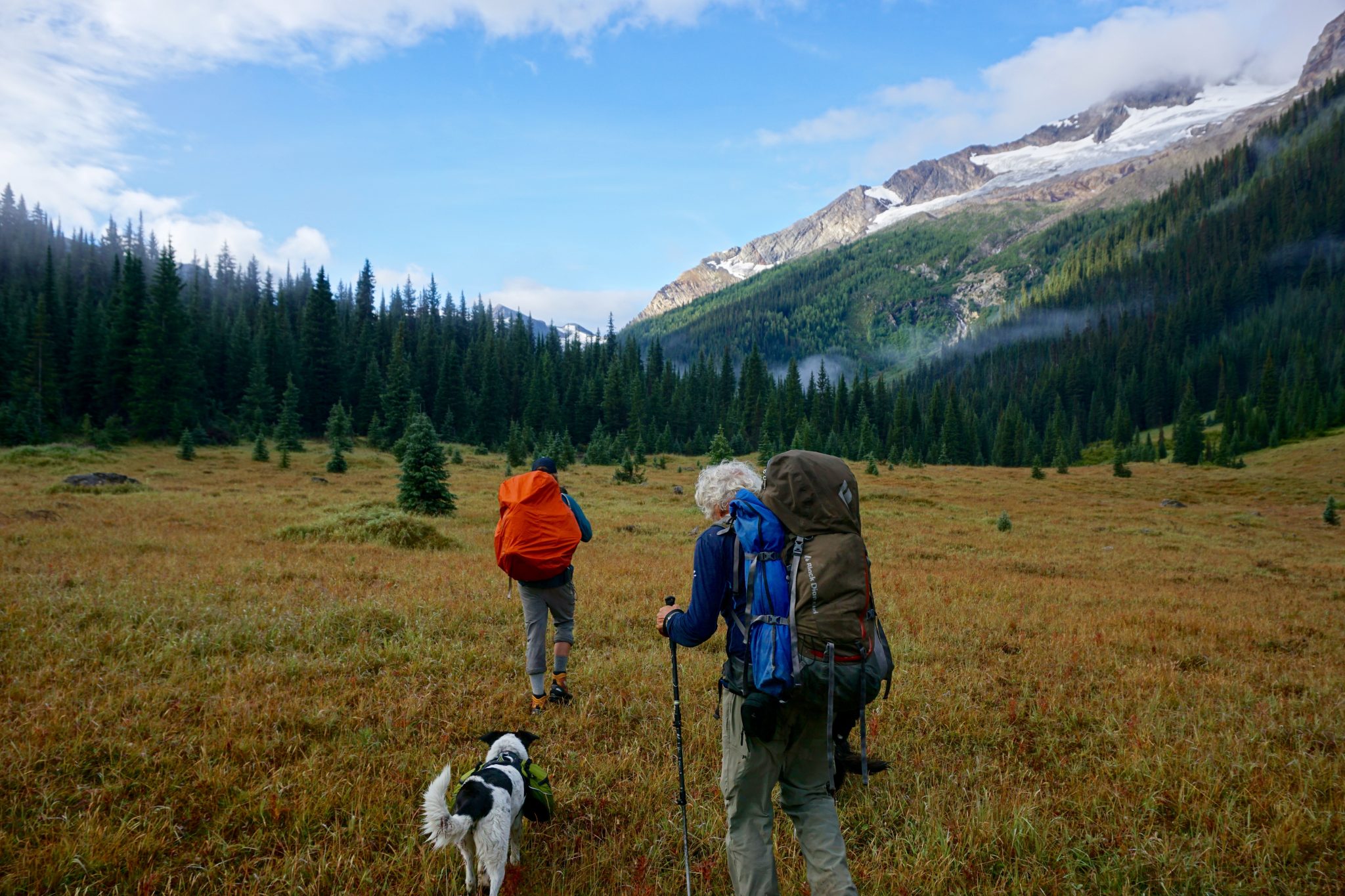 Nature Walks: Marsh Loop – Wildsight