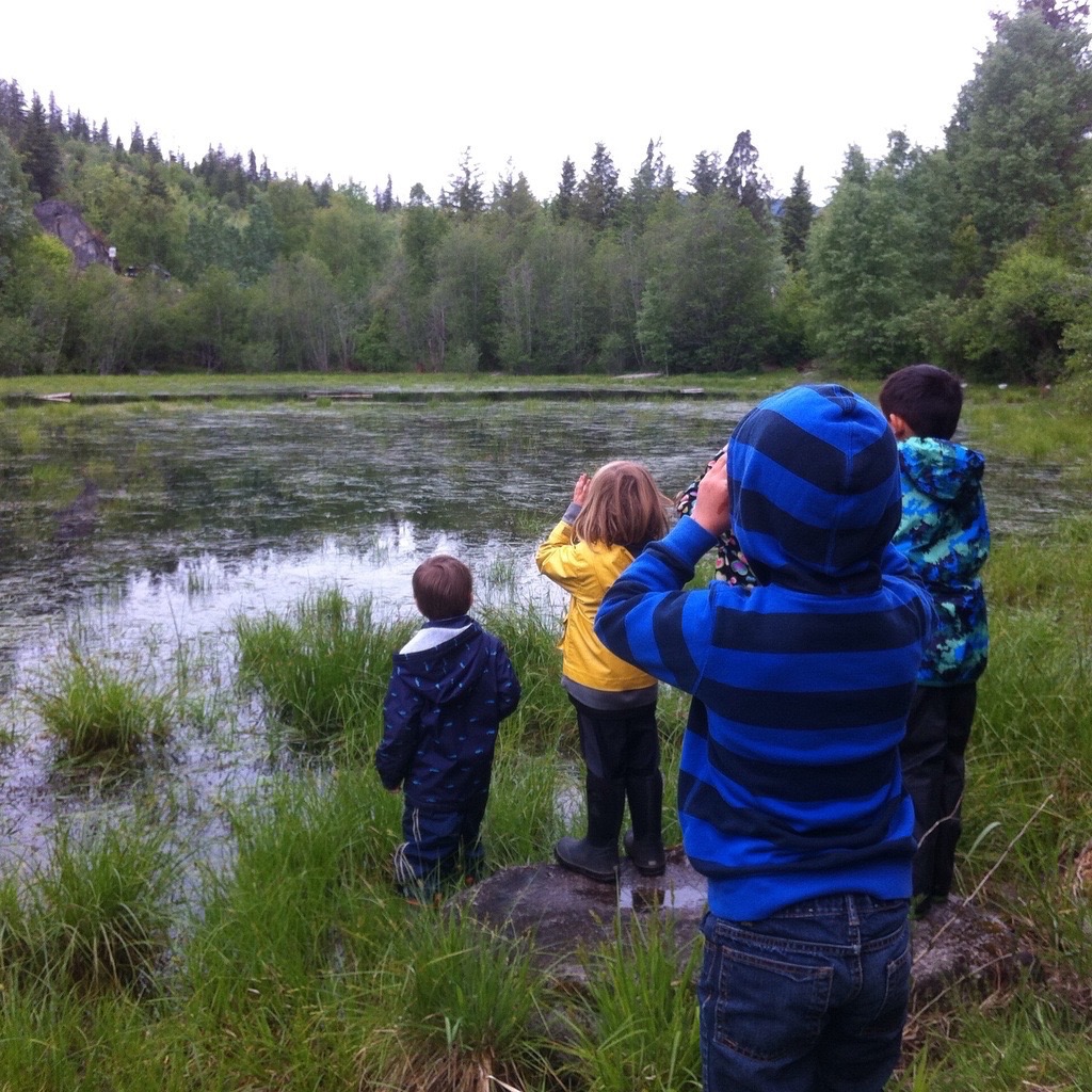 Wildsight seeks environmental educators in Invermere and Golden – Wildsight