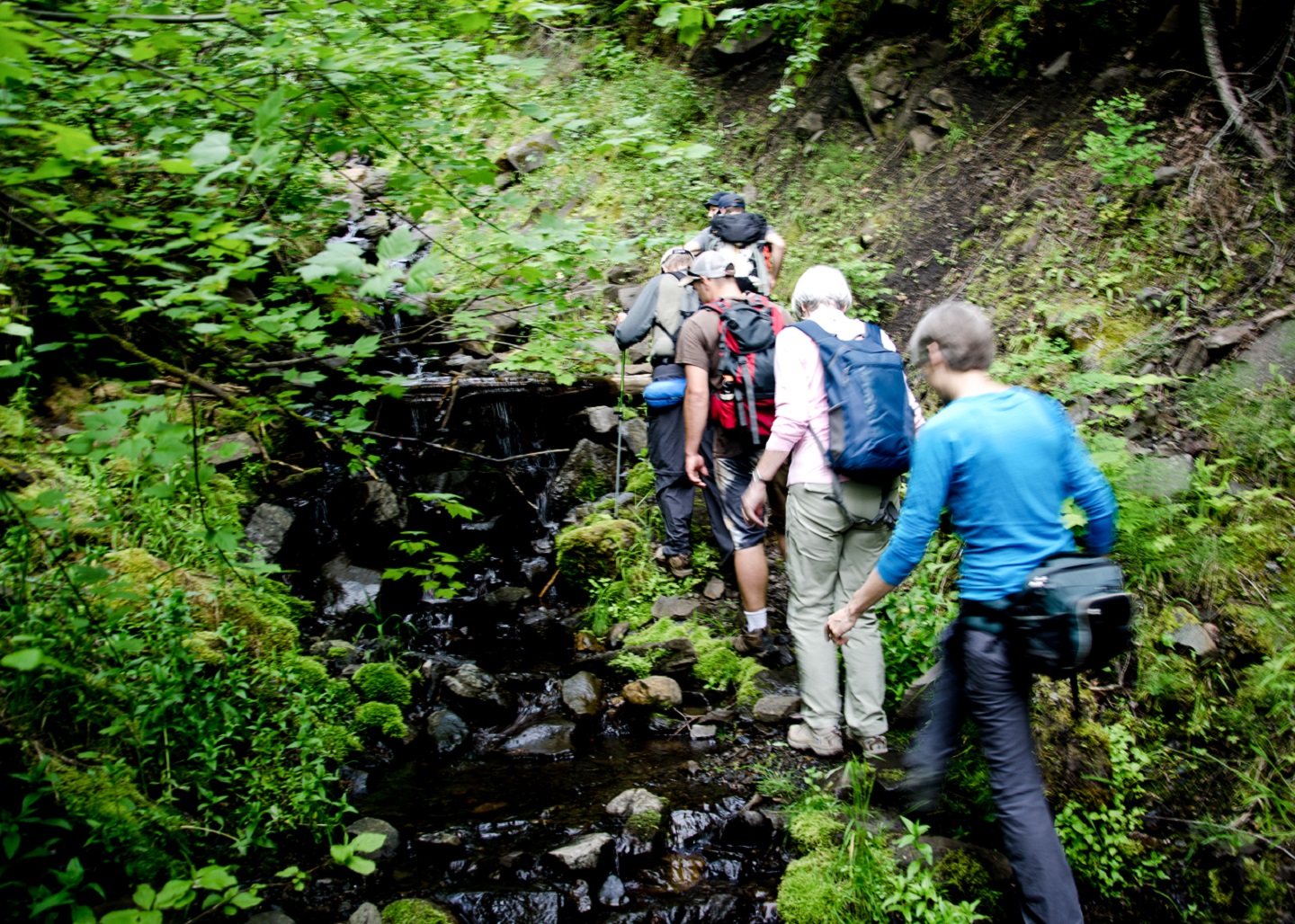 Wild Nature Tours – Wildsight