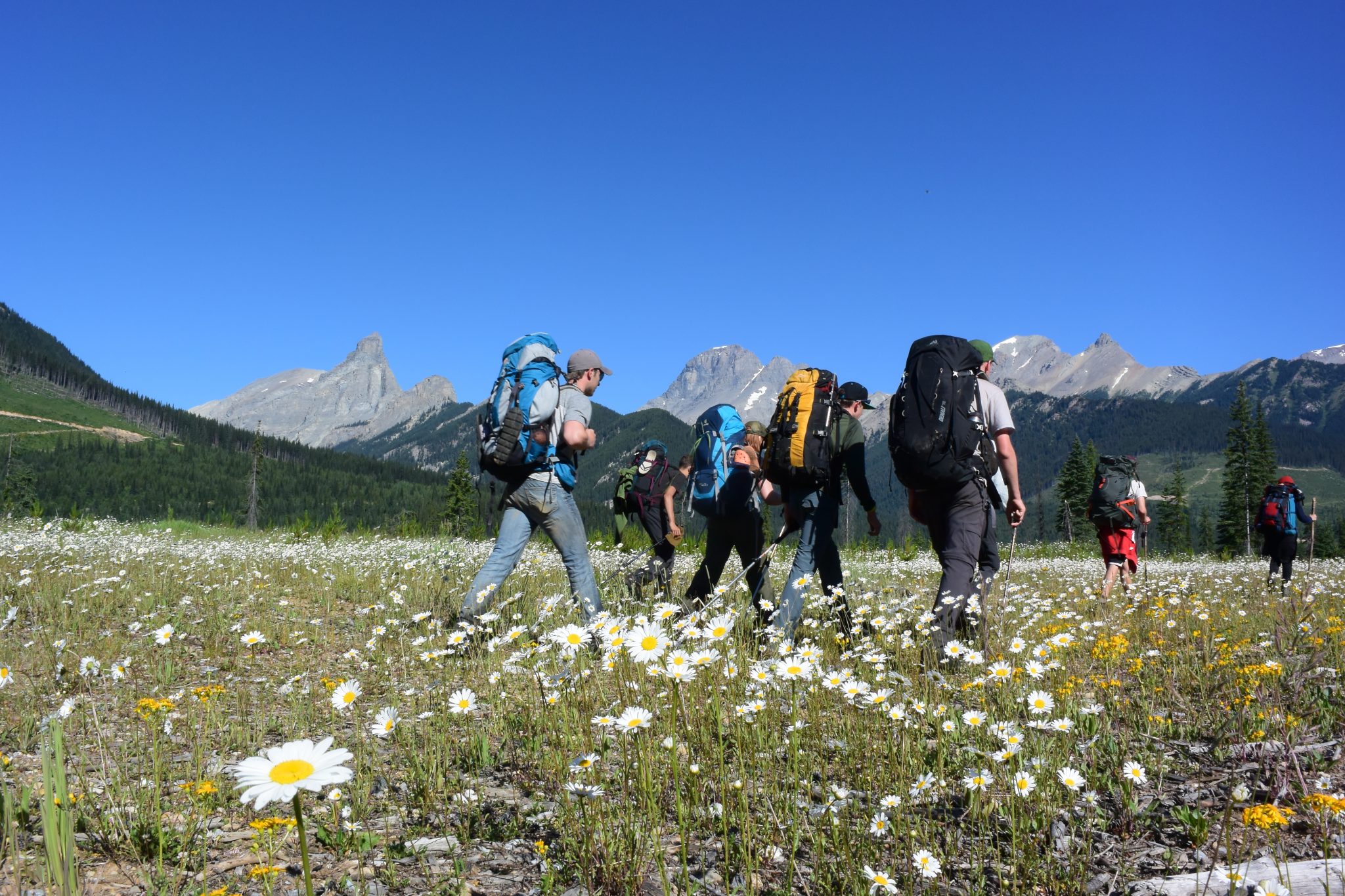 Go Wild! 2024 – Wildsight