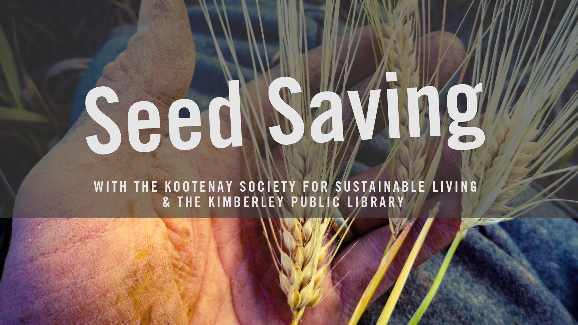 Seed Saving Workshop – Wildsight