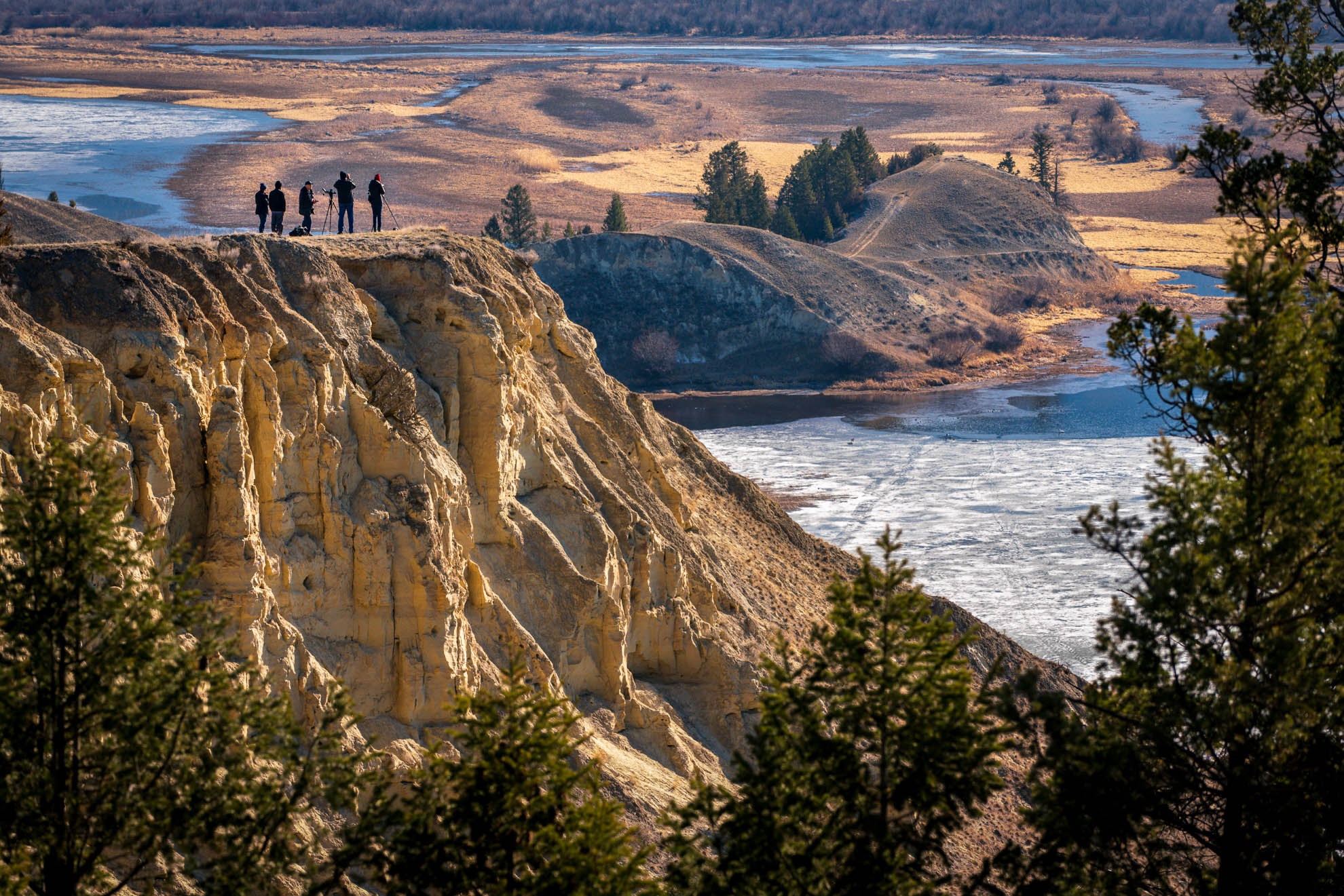 Columbia Wetland Waterbird Survey Final Report – Wildsight