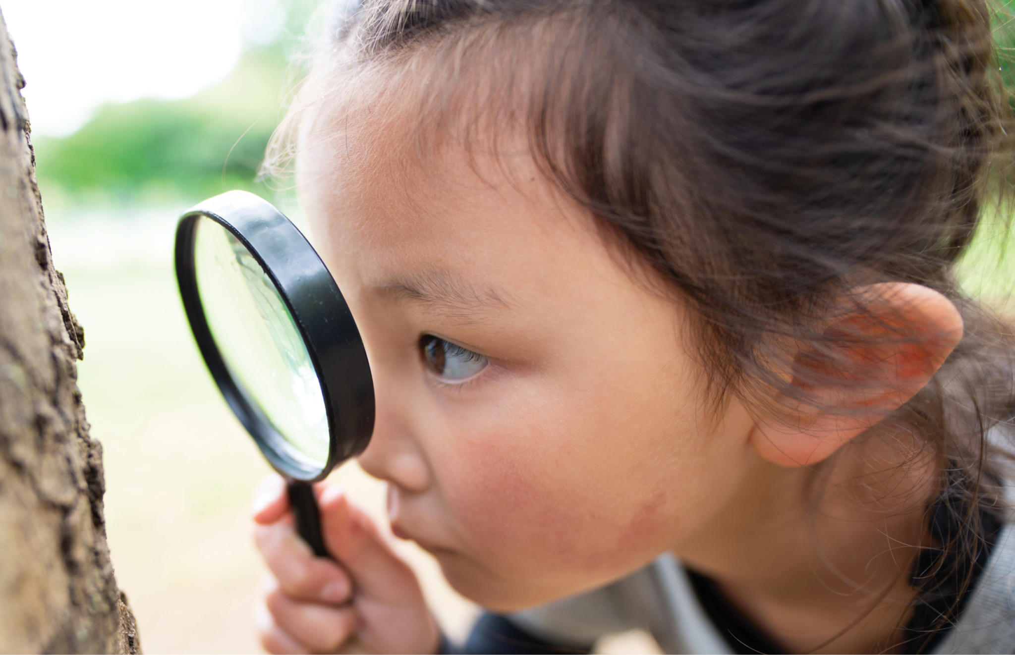 The World of Small – Wildsight