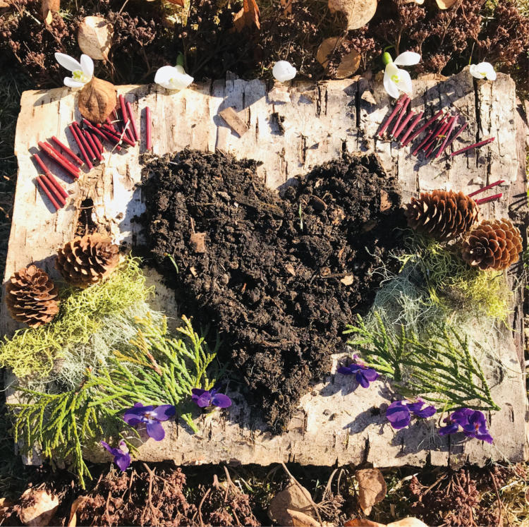 Earth Day Art – Wildsight