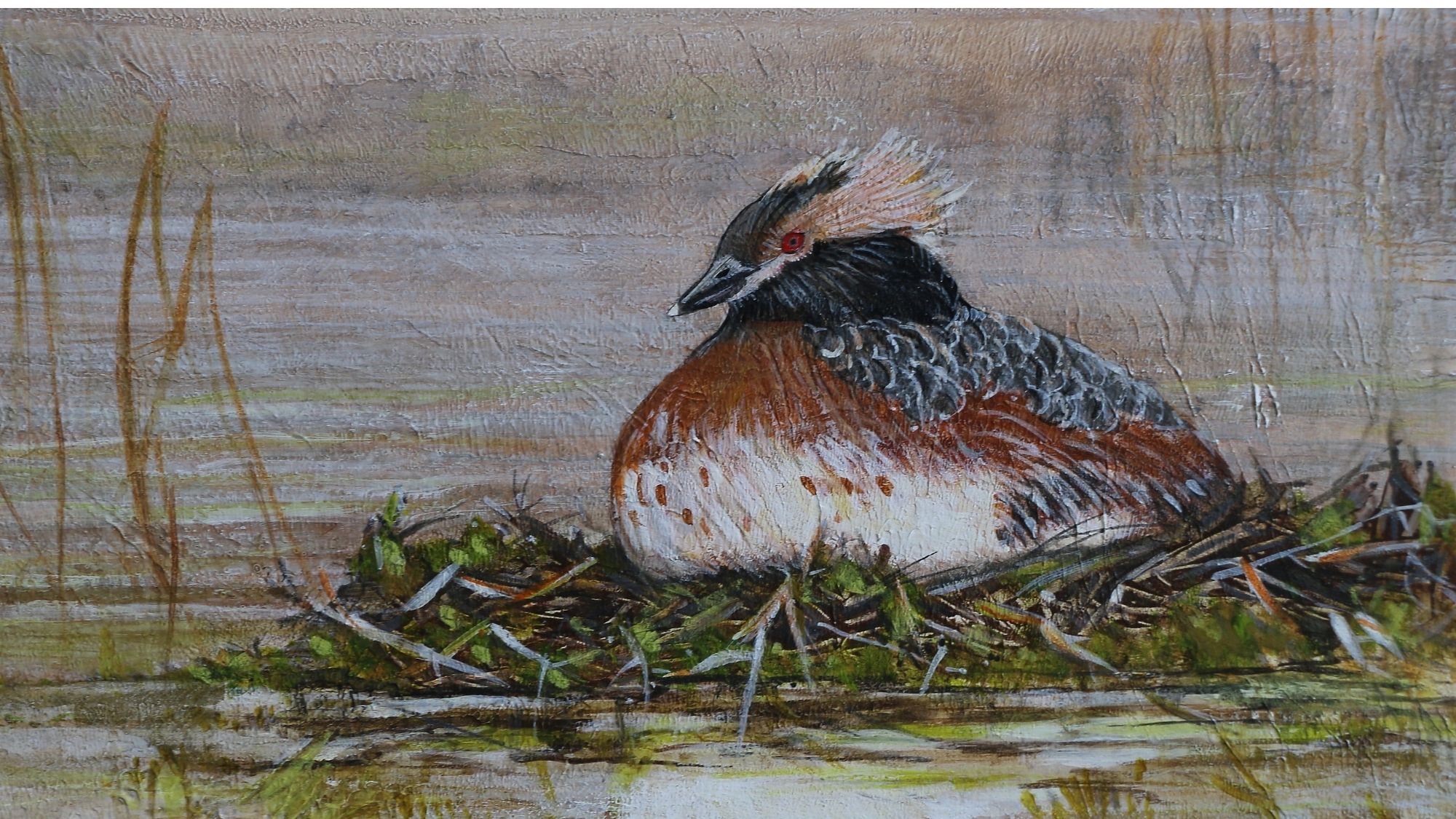 AGOG presents Donna Mendes & Rachel Darvill: At-Risk Birds & their ...