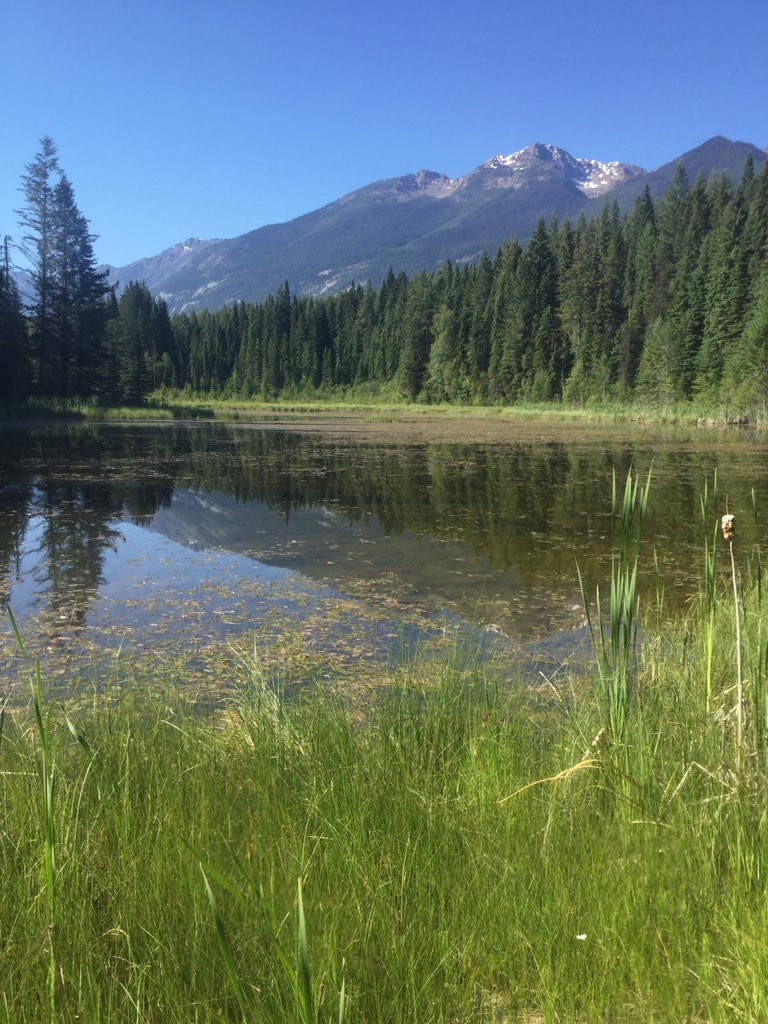 West Bench Recreation Ecology Study – Wildsight