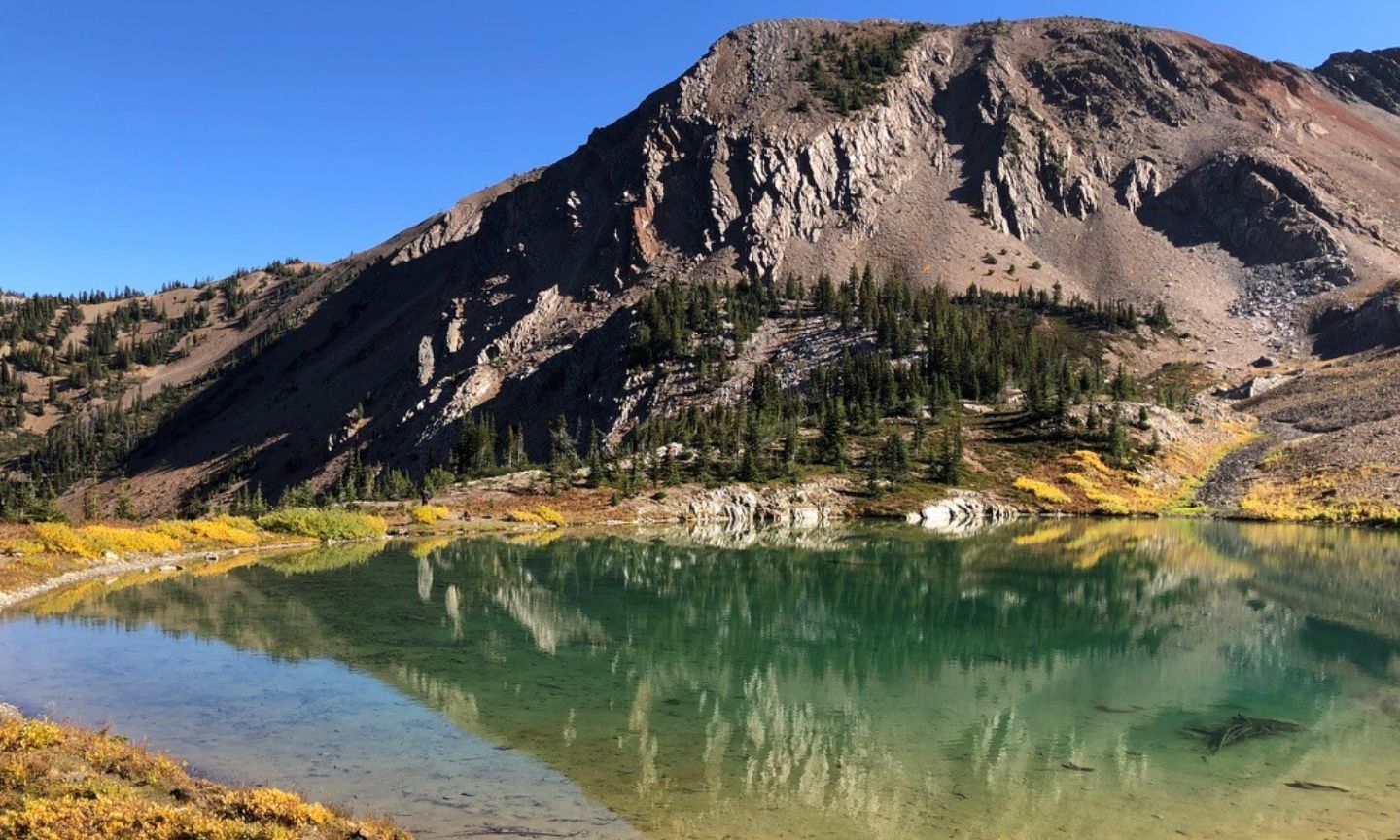 West Bench Recreation Ecology Study – Wildsight