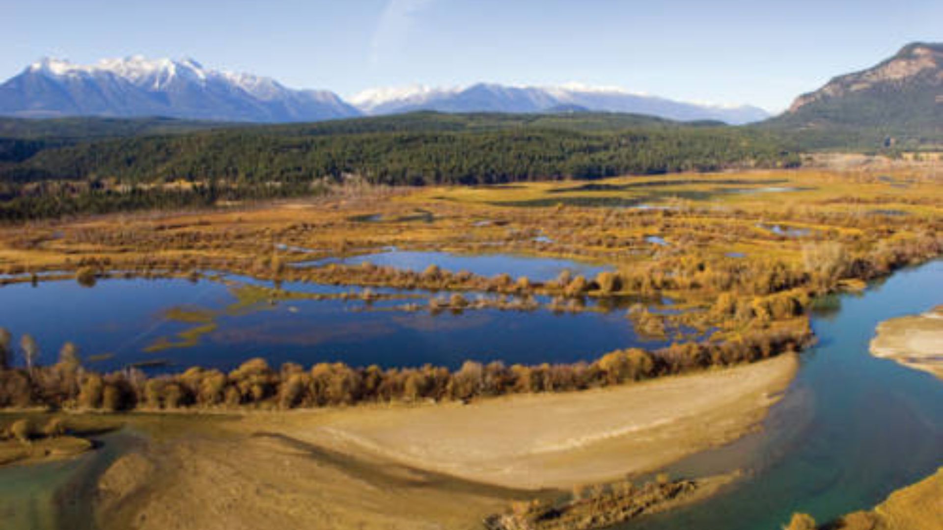 Wildsight Golden 2024 AGM – Wildsight