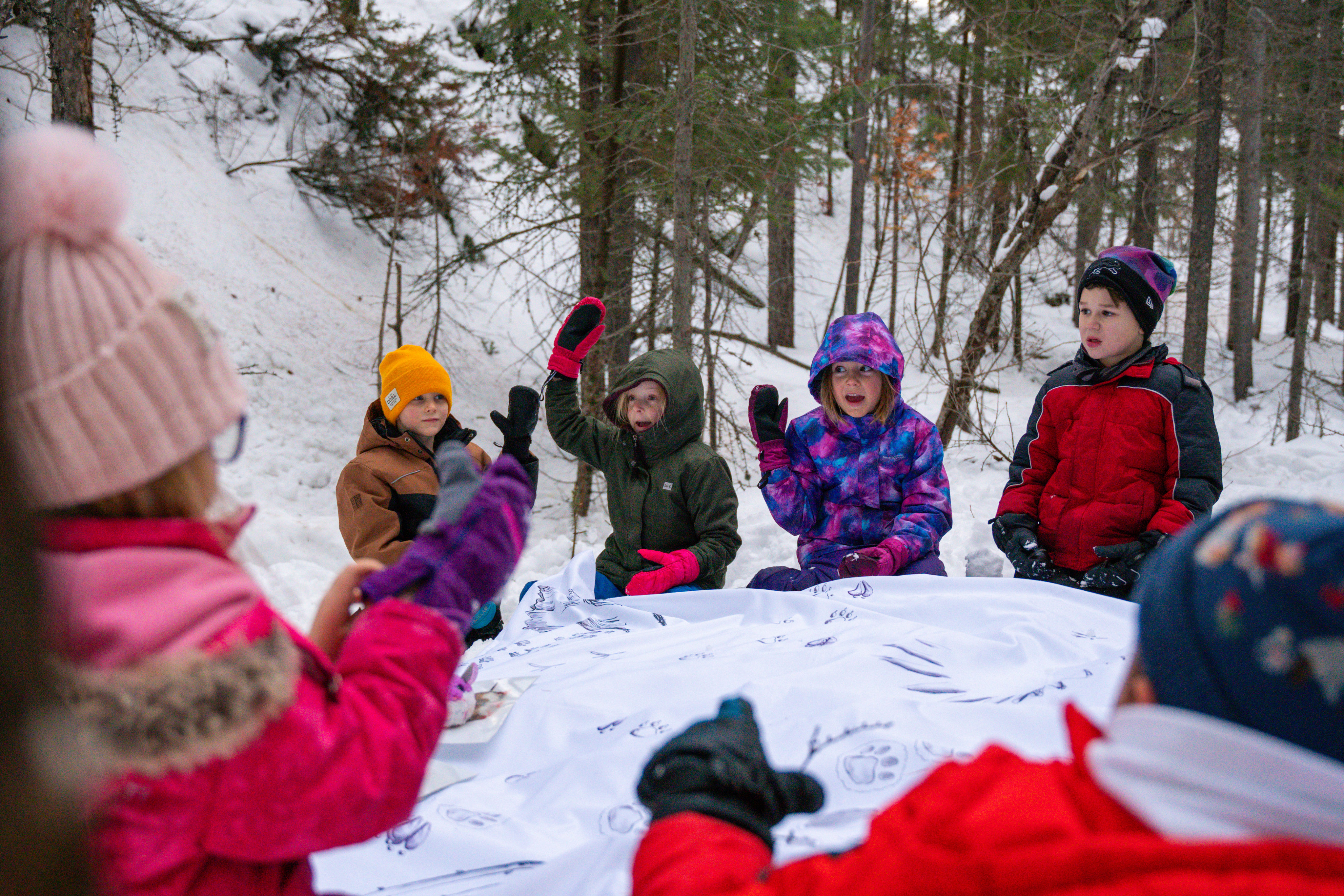 Finding the stories of the wild – Wildsight