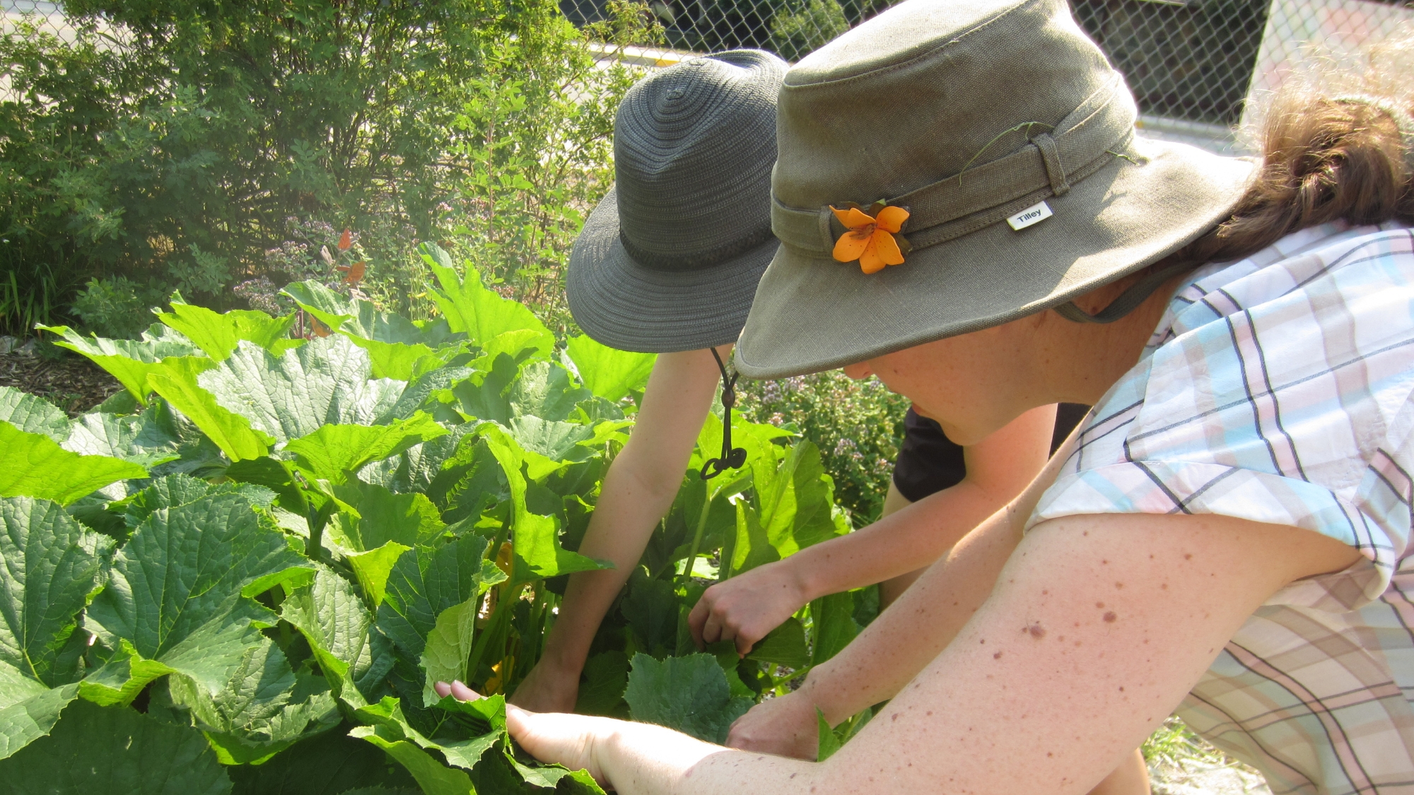 We’re hiring: Program Assistant – Wildsight