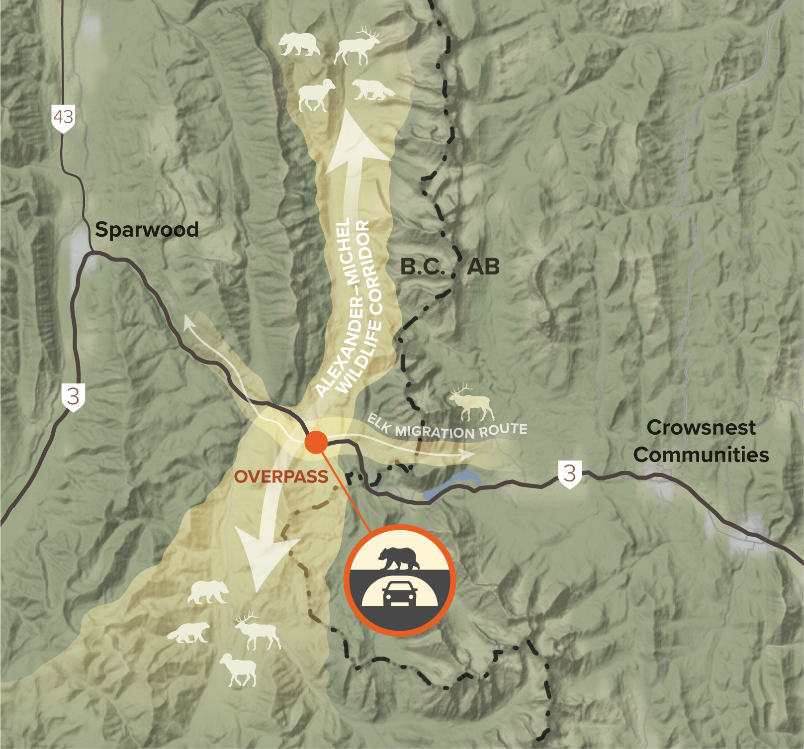 Network of Hwy 3 wildlife crossings grows, as next phase kicks off ...