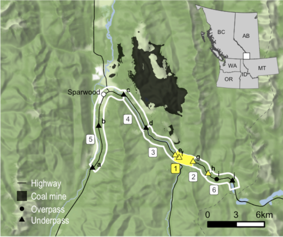 Network of Hwy 3 wildlife crossings grows, as next phase kicks off ...