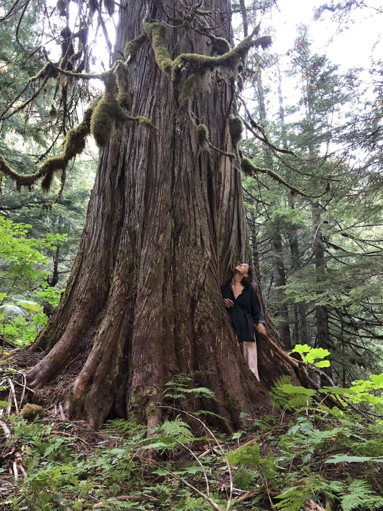 Safe Haven: The Rainbow Jordan Wilderness – Wildsight