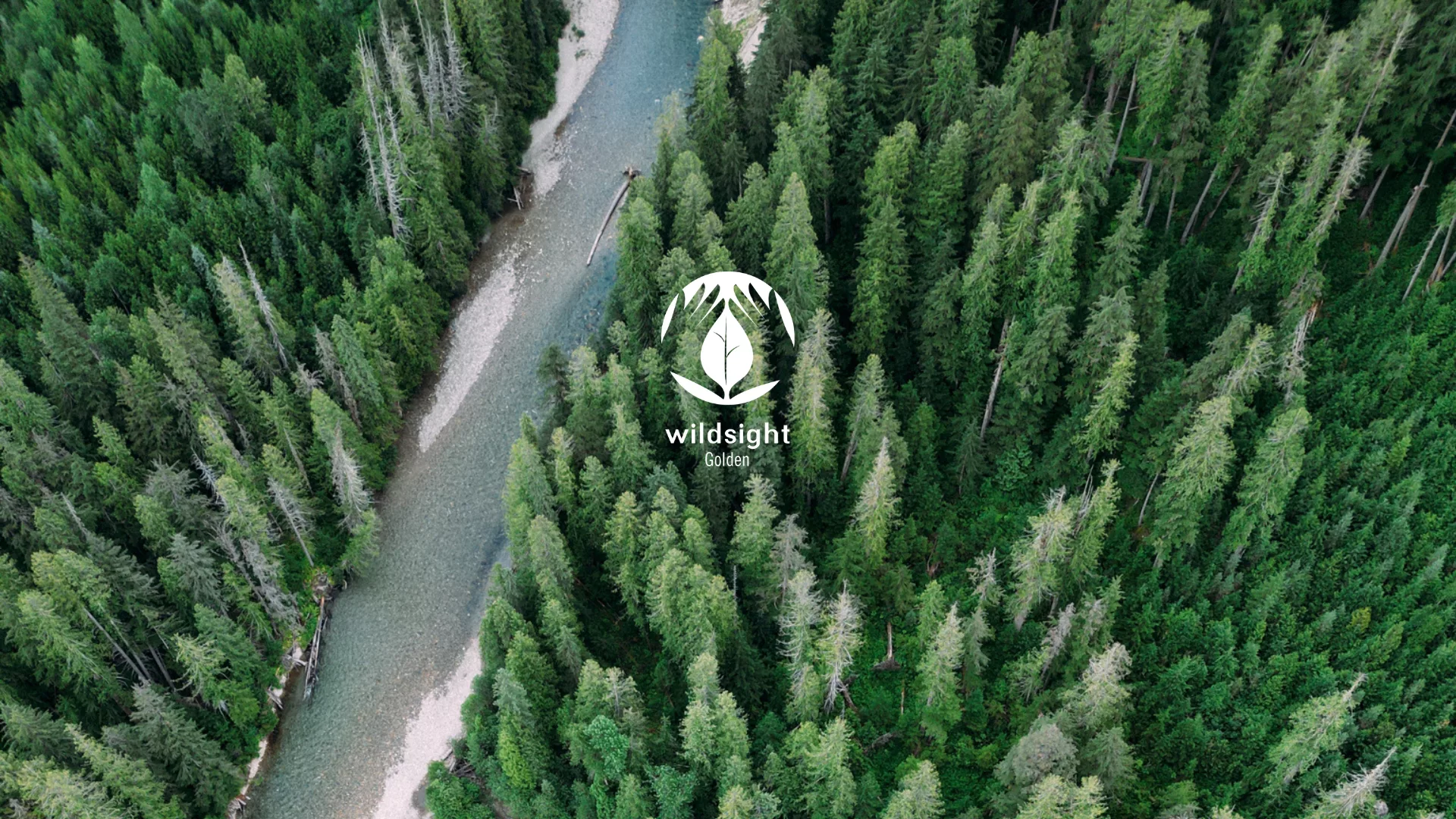 Wildsight Golden AGM 2025 – Wildsight