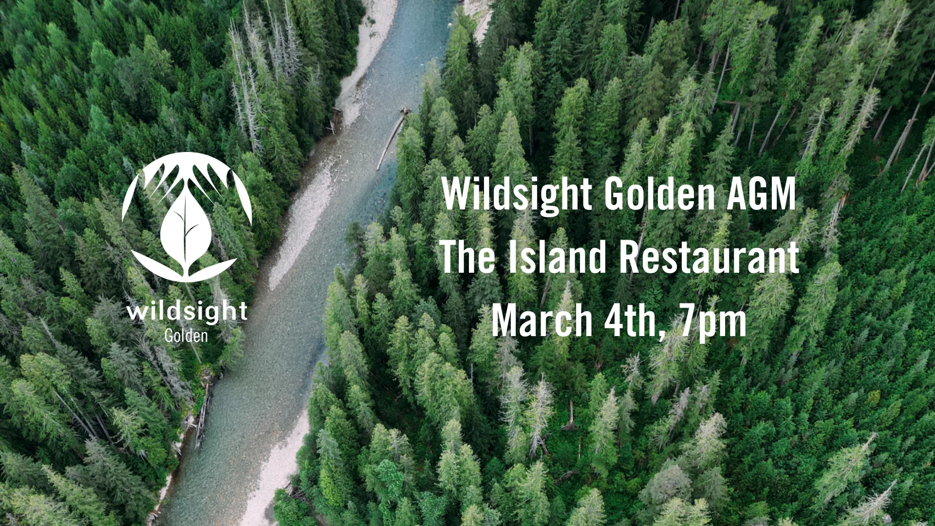 Shape the future of our environment: Join Wildsight Golden’s Board of Directors! – Wildsight