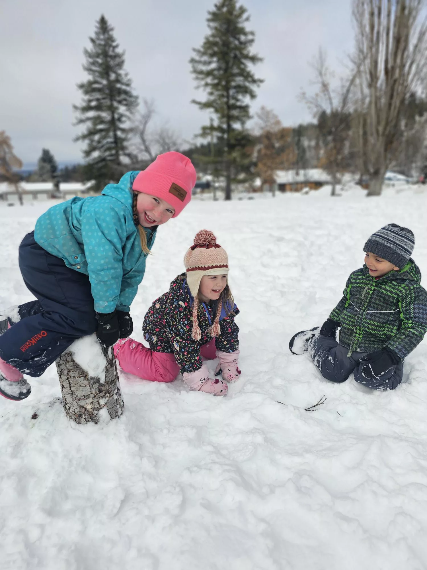 Survivor: Animals in winter edition – Wildsight